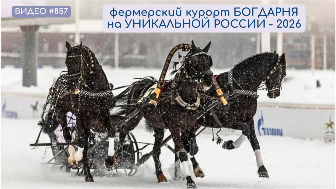 #857 Фермерский курорт БОГДАРНЯ на УНИКАЛЬНОЙ РОССИИ - 2026 🐎🐎🐎