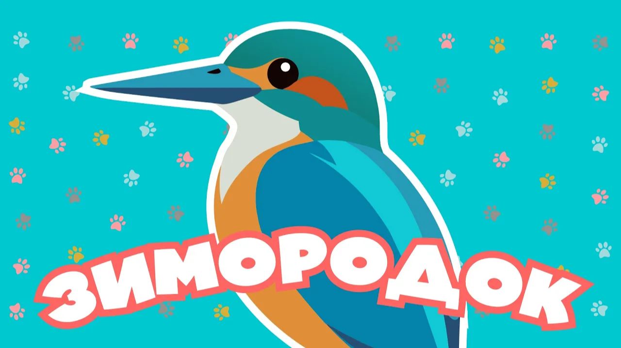 Творение учит нас | Зимородок