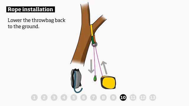 Установка веревки для лазания по деревьям