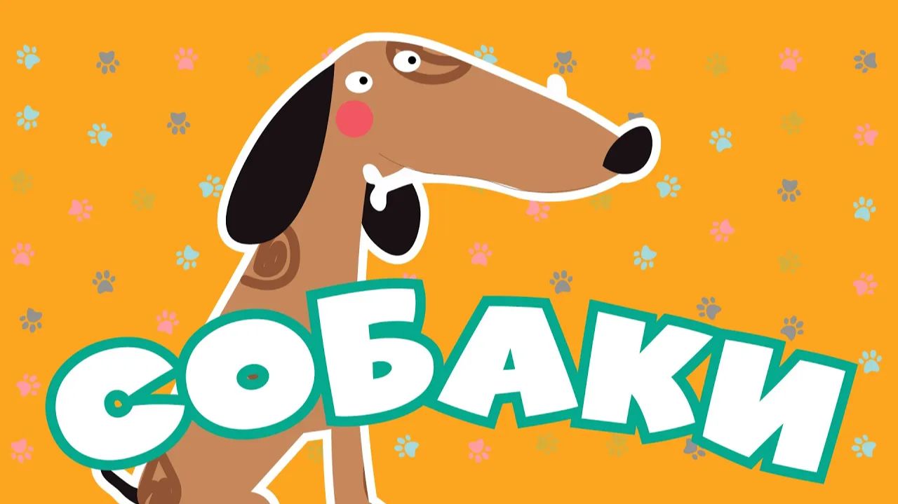 Творение учит нас | Собаки