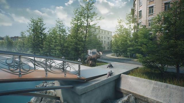 Что, если_Животные__https---vimeo.com-525556502