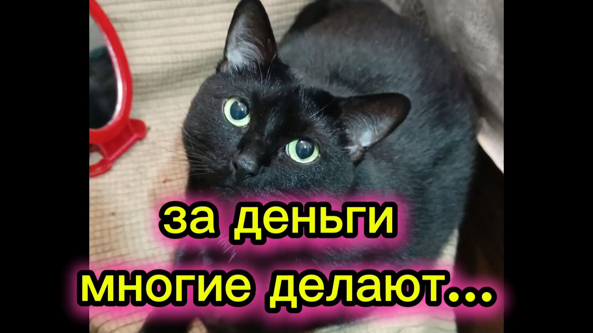 КОШКИ С ОЗВУЧКОЙ.