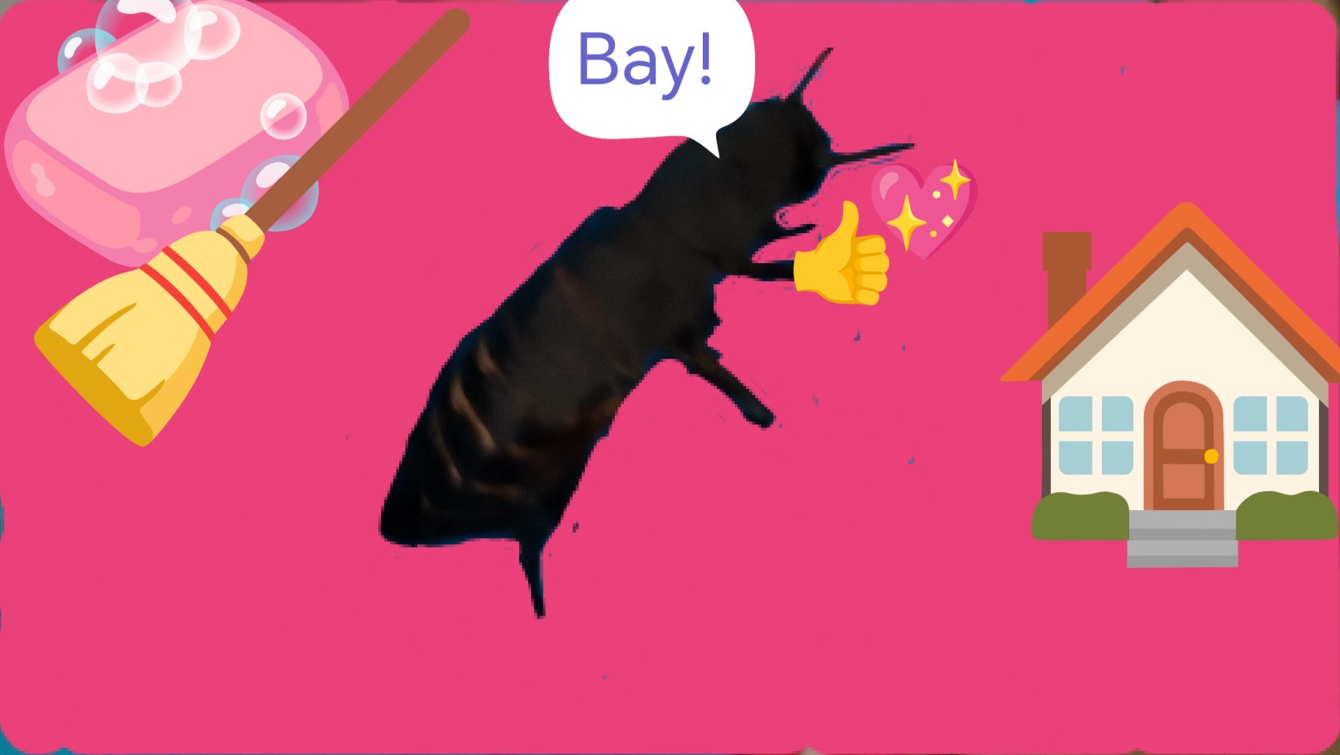 Продолжение про мадагаскарских тараканов! 🪳Уборка! Что с ними стало?