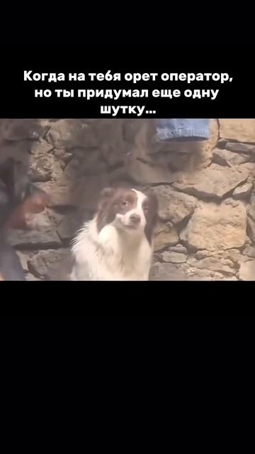 Иногда внутренний комик не знает таймингов😅