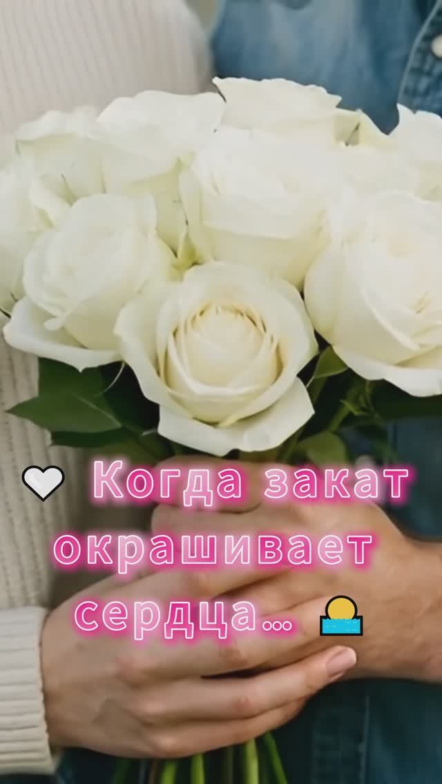 Белые розы 🌅 Смотри, как любовь расцветает в каждом кадре — OLISHA