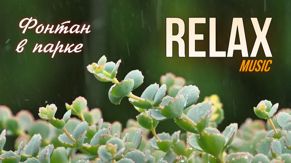 RELAX | Расслабляющий фонтан в парке, пение птиц и нежная музыка 🎶 — идеальный отдых и для души 🌿