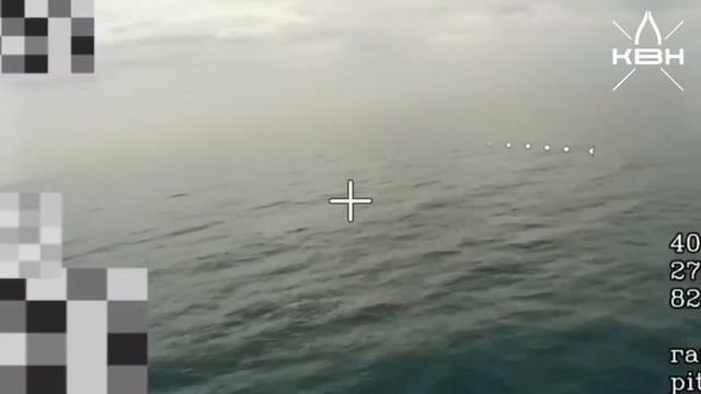 Дельфины сопровождают дрон-матку