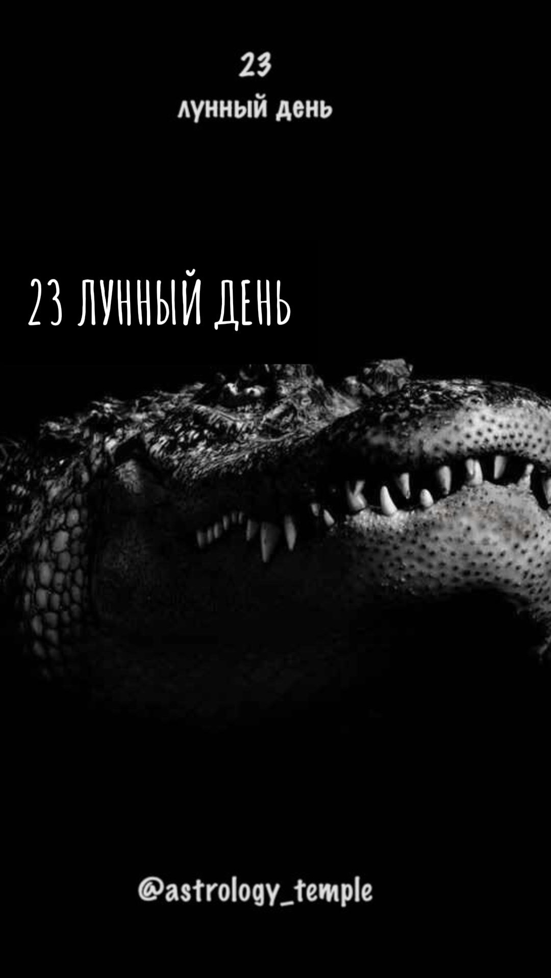 📅 ВТ, 10.02.2026 🌛 23 лунный день | Убывающая Луна в Скорпионе (до 10:21), затем в Стрельце  🪄