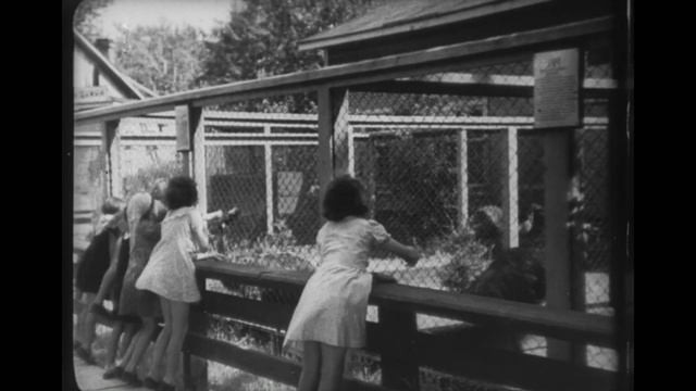 Блокадный зоопарк - 2026 (02)