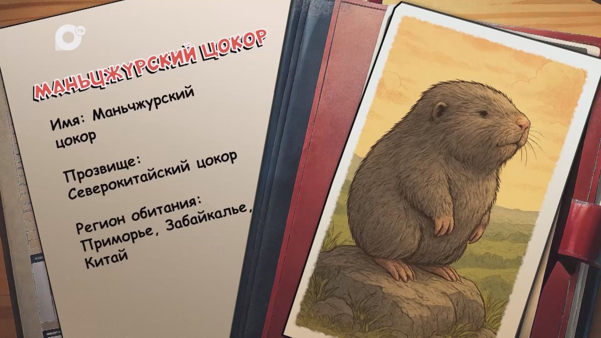 Агент биосферы / Маньчжурский цокор / 09.02.26