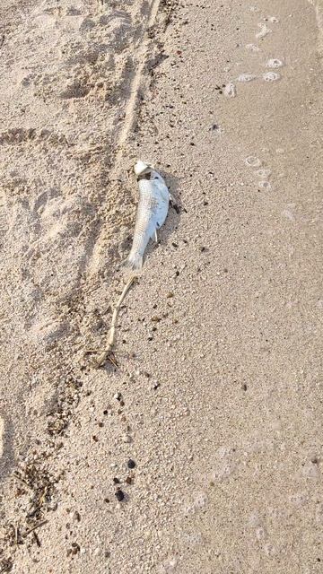 Смотрим до конца!!!