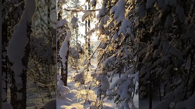 Настройка на февраль 2026.mp4