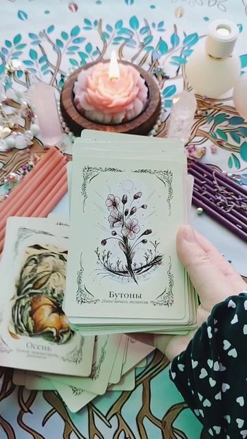 ОРАКУЛ ЗЕЛЁНАЯ ВЕДЬМА