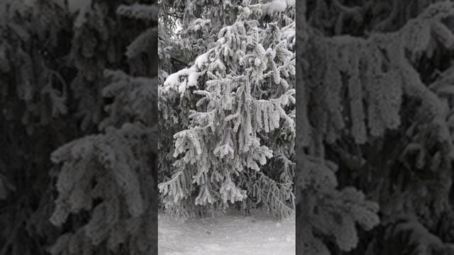 №106 Выравнивание функций физического тела