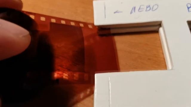 Сканирование пленок ВЕРНОЕ