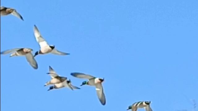 3 раз не миновать у нас снова Праздник