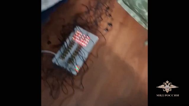 Ирина Волк: В Москве пресечена деятельность технических узлов телефонных мошенников