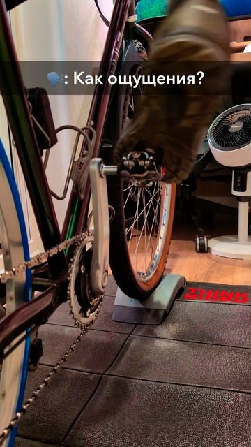 200 км за один день // День ног // Устал крутить #shorts #мем #приколы