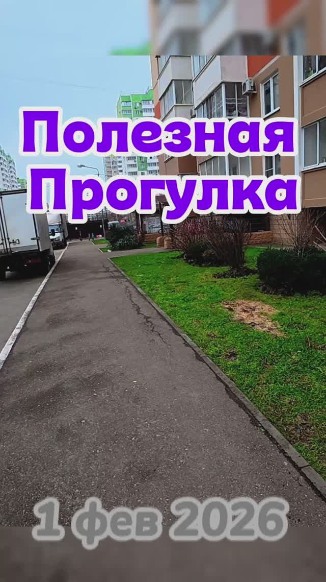 Йорк Бося:) Краснодар.Полезная Прогудка 1фев 2026