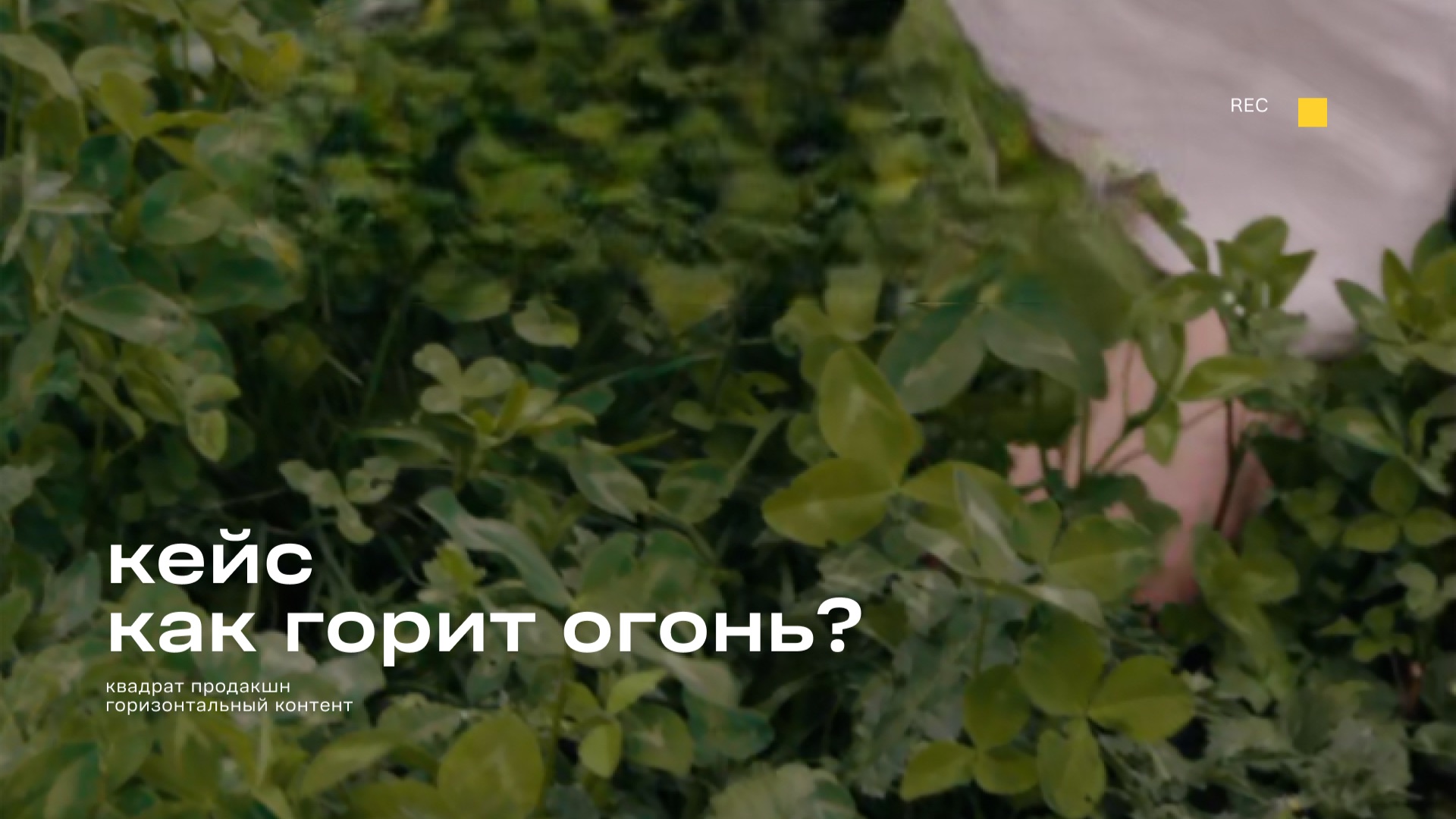 как горит огонь? (серия медленных киношных reels)