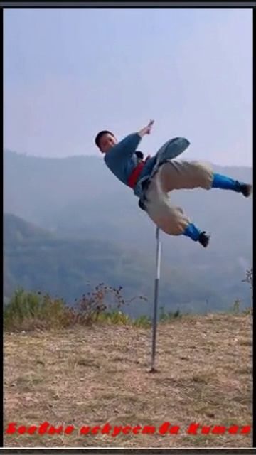 Вундеркинд кунг-фу!