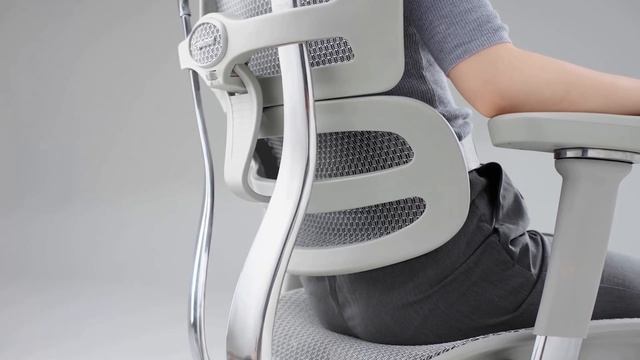 Кресло FALTO Ergohuman 2 SE Luxury  — обзор функций