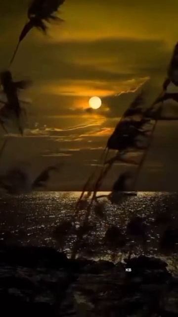 #рекомендации #врек #топ #katyboro #видеооткрытка