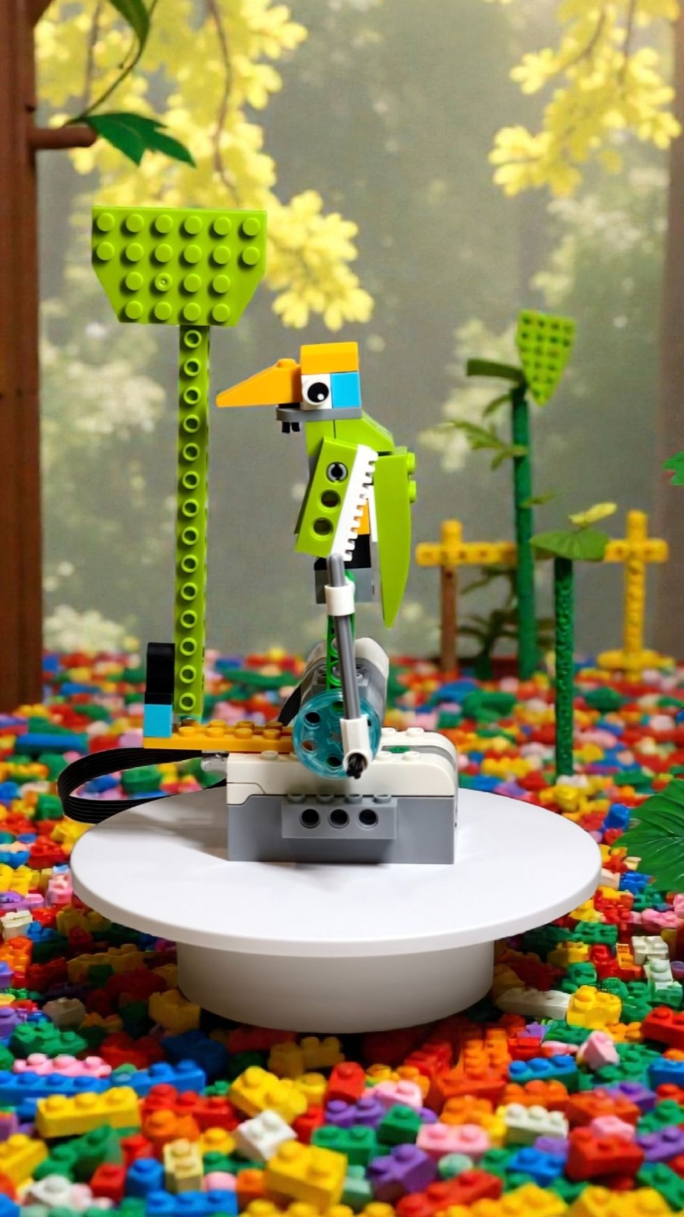 Дятел. Проект Wedo 2.0