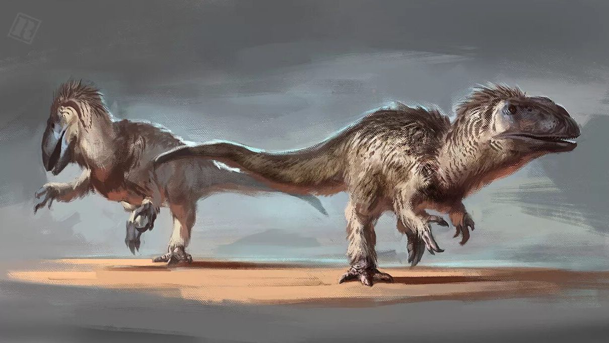 Самый крупный пернатый динозавр.