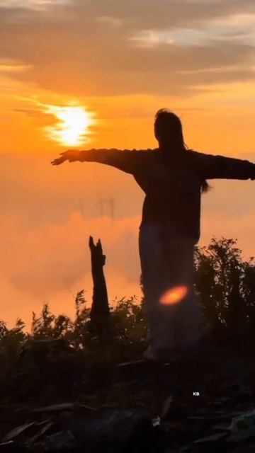 #katyboro #рекомендации #врек #топ #видеооткрытка