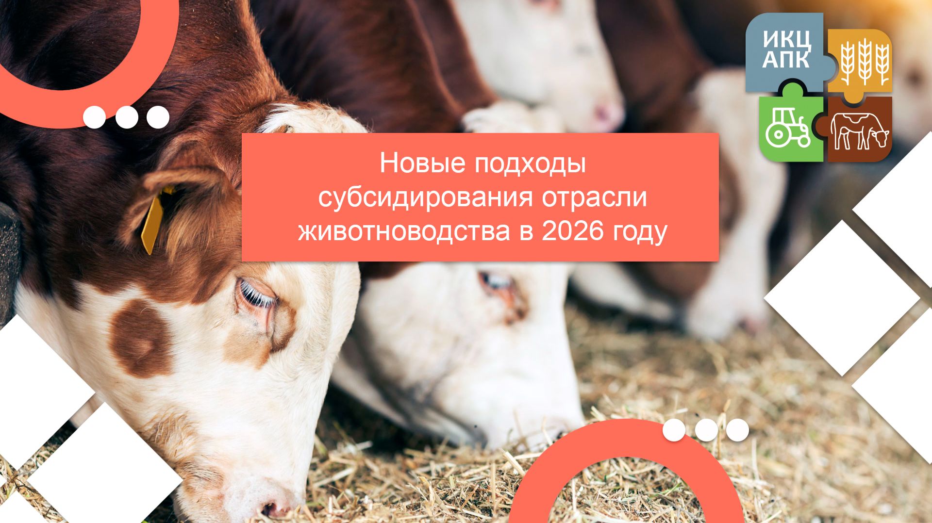 Запись семинара от 5 февраля 2026 года