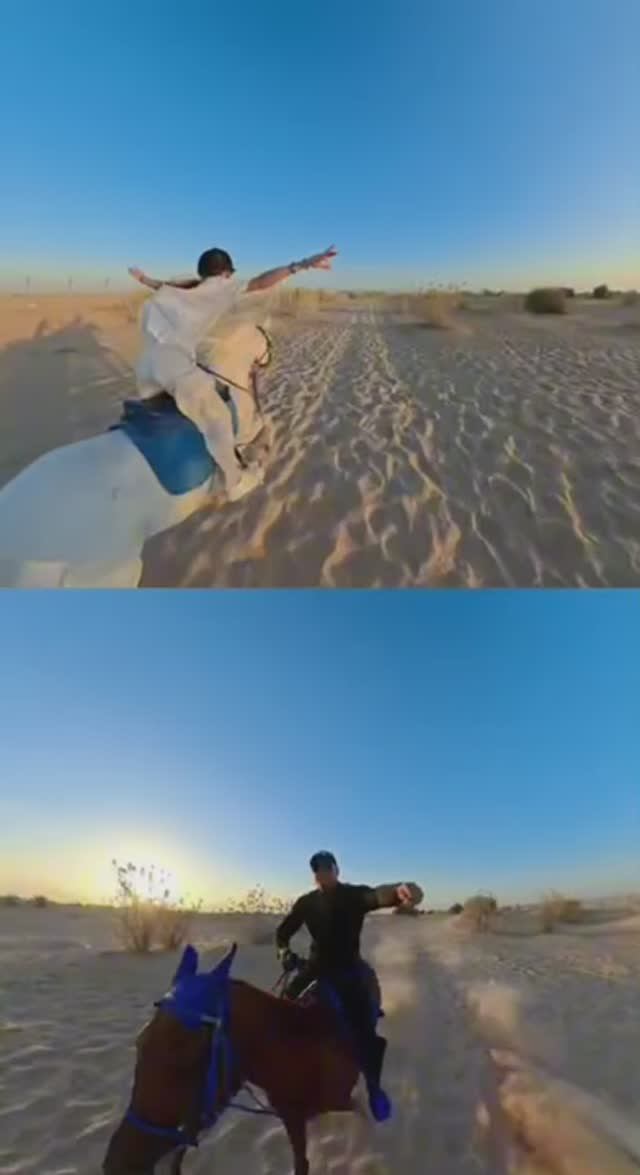 Верховая езда на горячем арабском скакуне в пустыне