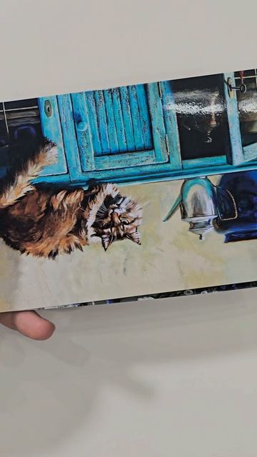 Маленькие кошачьи радости