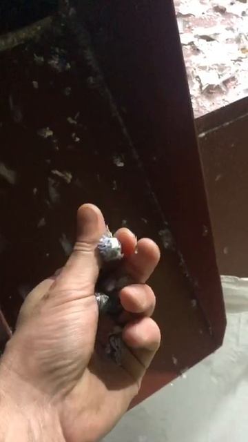 Пласткомпактор на ПЭТ пленке с наклейкой