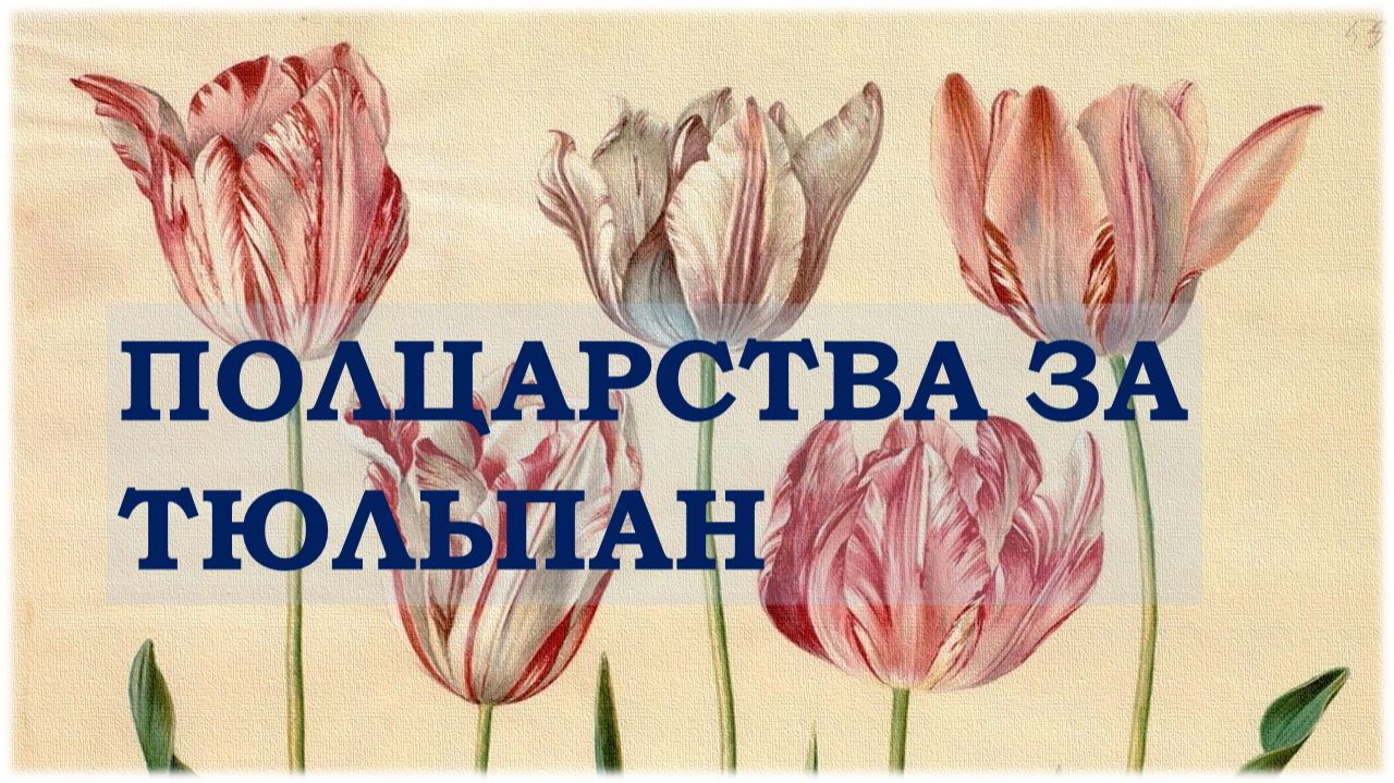 Тюльпанная лихорадка уроки истории