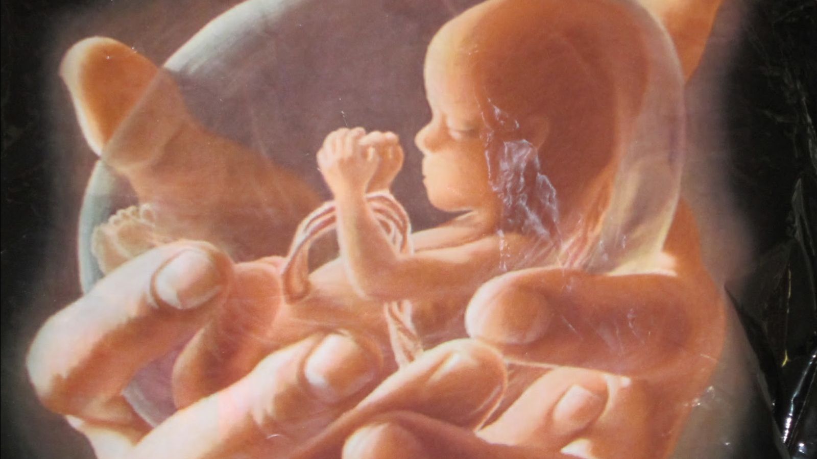 149. ОТВЕТЫ НА ВОПРОСЫ ЧИТАТЕЛЕЙ- Статья 149- Валерий Поздняков