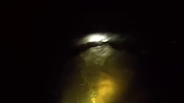 Щука 4,4кг. Макс Ngr