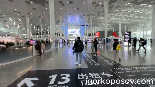 Шэньчжэнь #11 Shenzhen 01.2026 аэропорт Шэньчжэнь Баоань  Shenzhen Bao'an International Airport