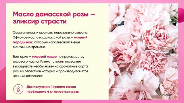 Интересное о Libidextra Women