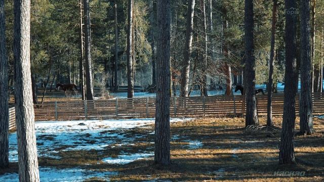 Квартиры в Архызе. Ход строительства ЖК комфорт-класса «Горы здесь» в январе 2026 года