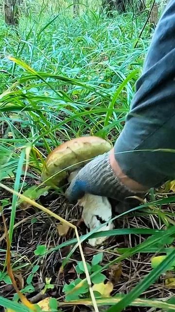 Вот это красавчик