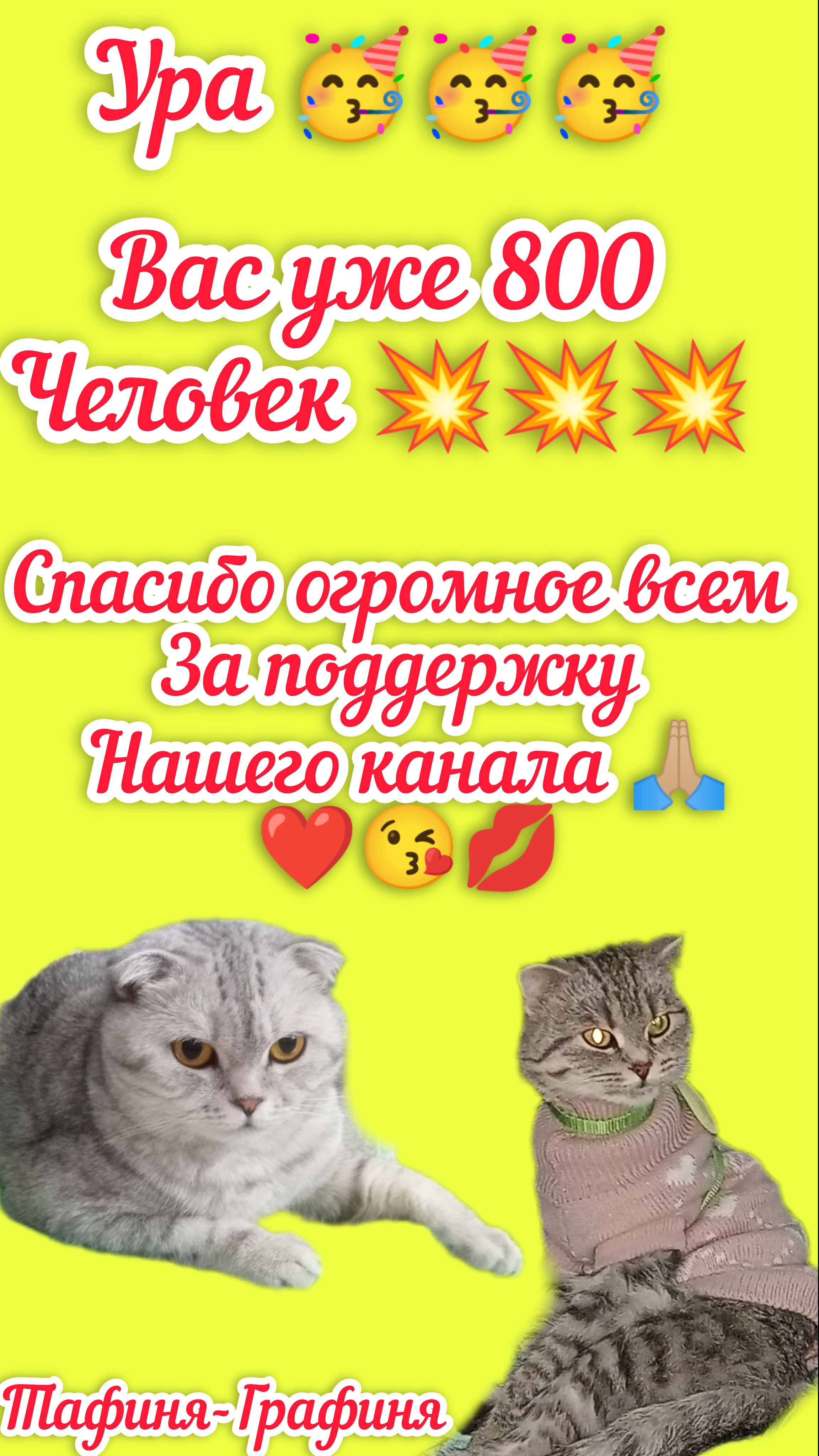 Спасибо большое всем за поддержку нашего канала 🙏🏼❤️😘💋