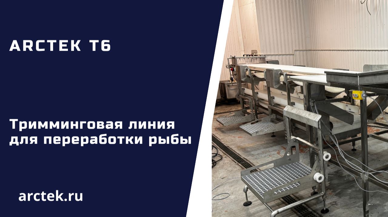 Arctek T6 Тримминговая линия для переработки рыбы