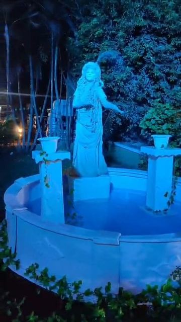 Работа иностранцев на эвентах в Индии