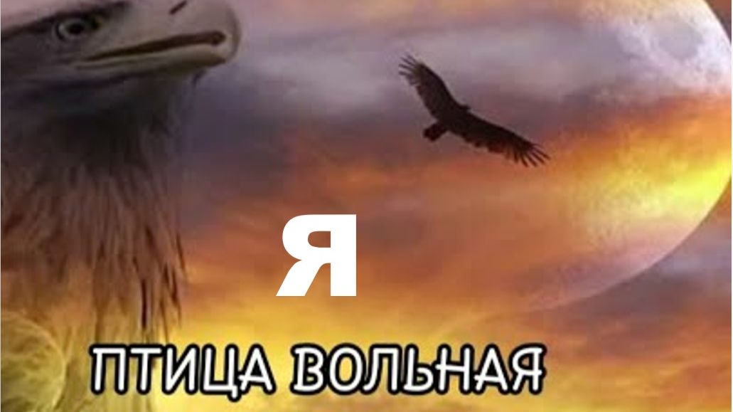 Я - ПТИЦА ВОЛЬНАЯ  // АВТОРСКАЯ ПЕСНЯ //