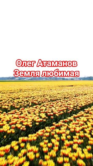 Олег Атаманов. "Земля любимая" #олегатаманов