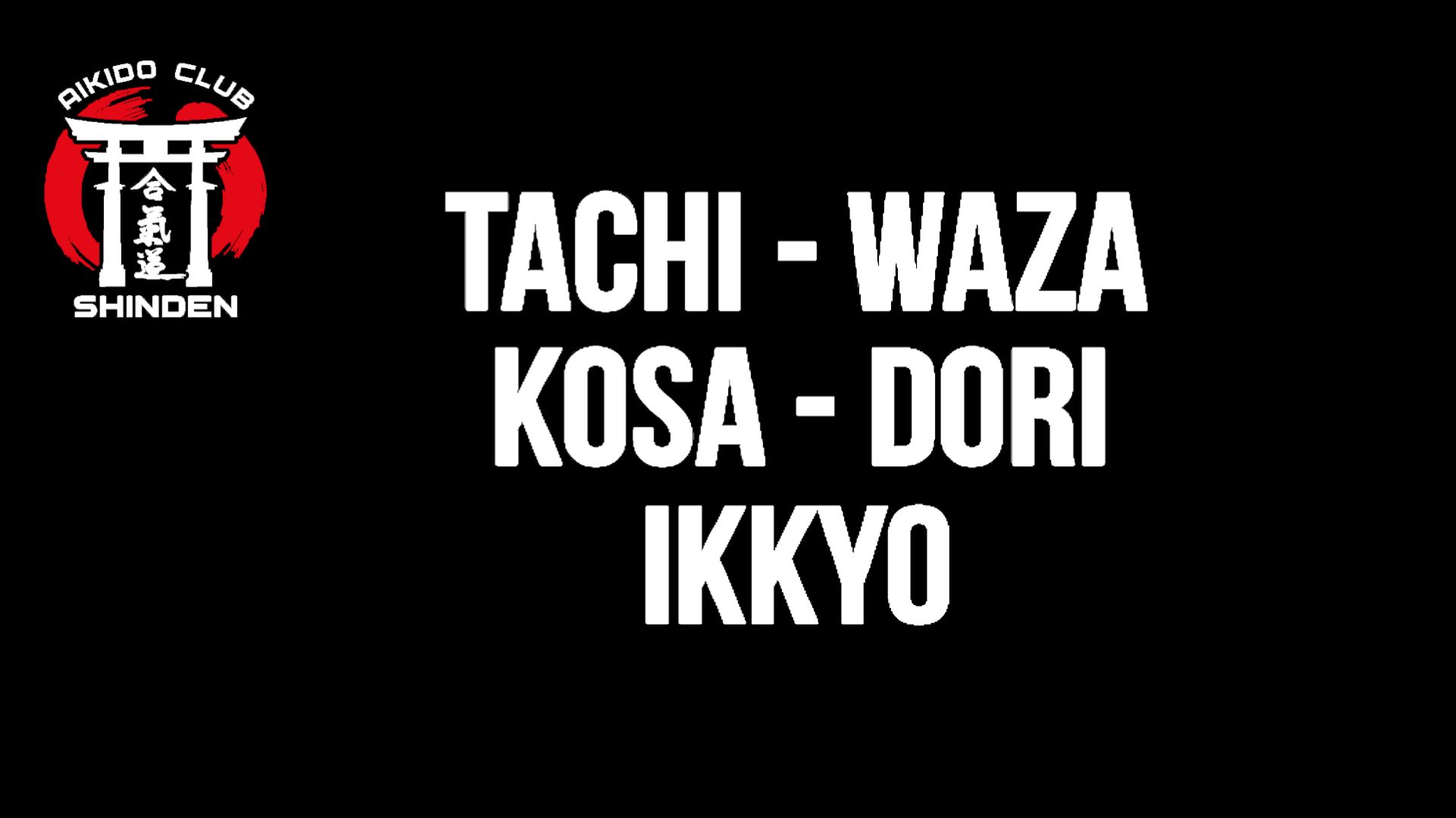 TACHI WAZA KOSA DORI IKKYO. Школа айкидо SHINDEN.