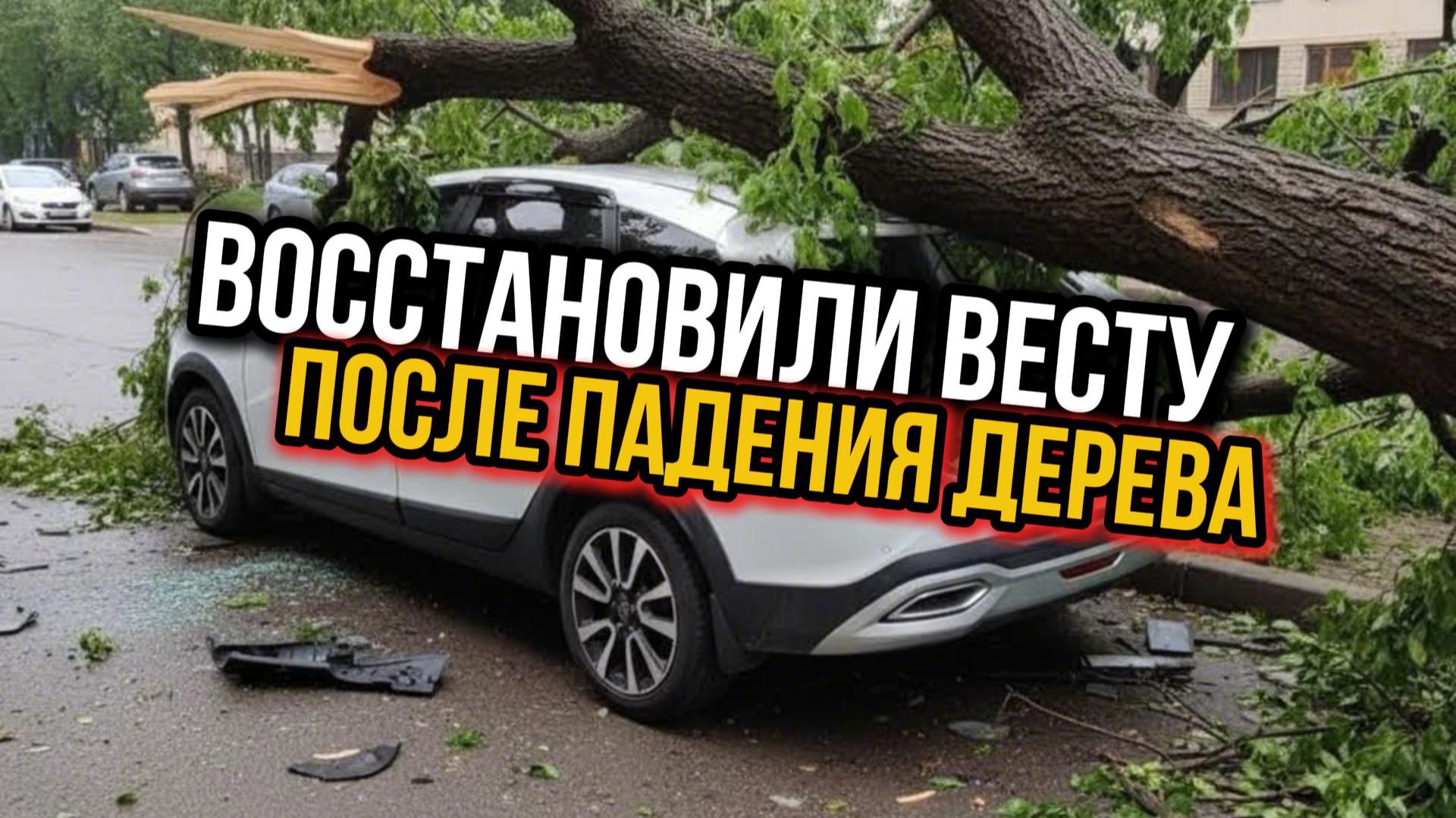 Восстановление ЛАДЫ после падения дерева