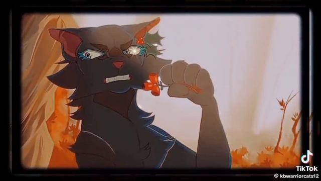 окак(не моё)#котывоители