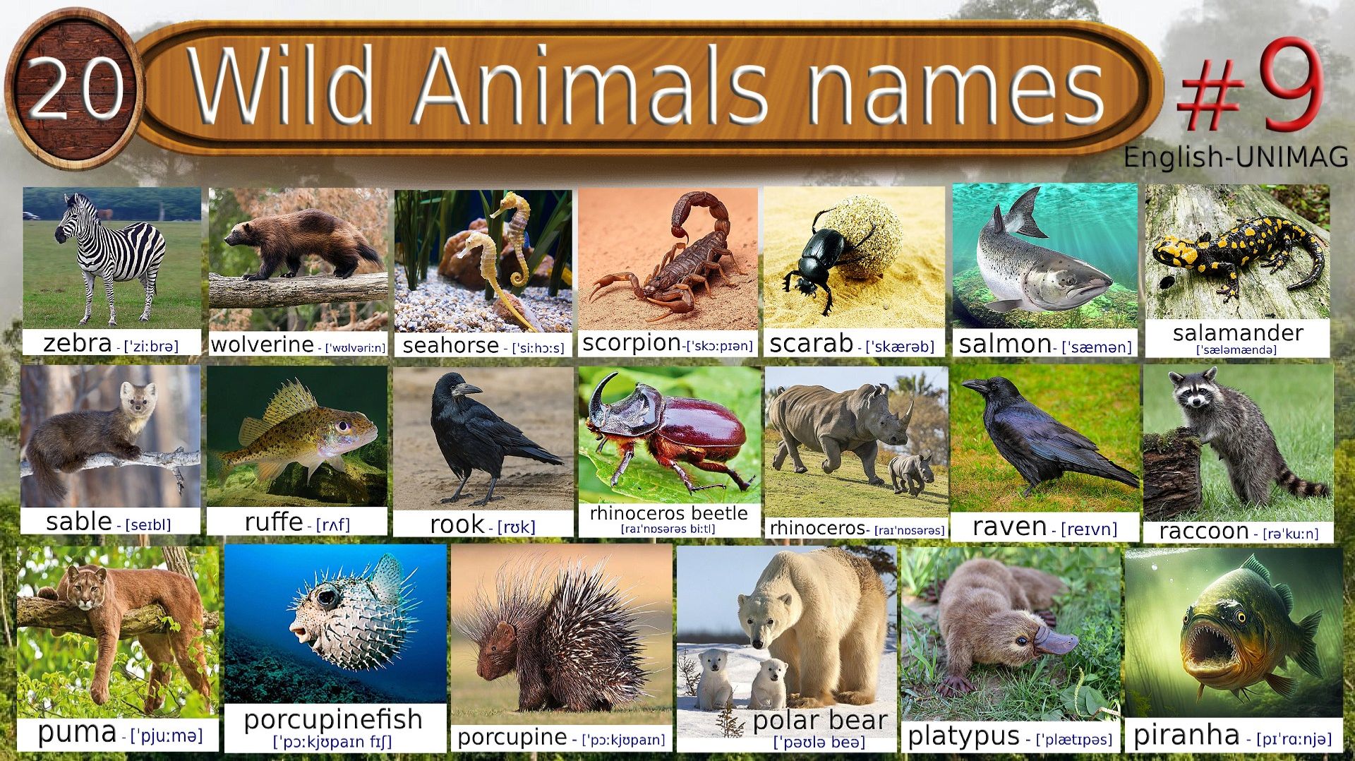 Комплект №9 электронных карточек "Wild Animals". Словарный запас, прокачка аудирования, говорения